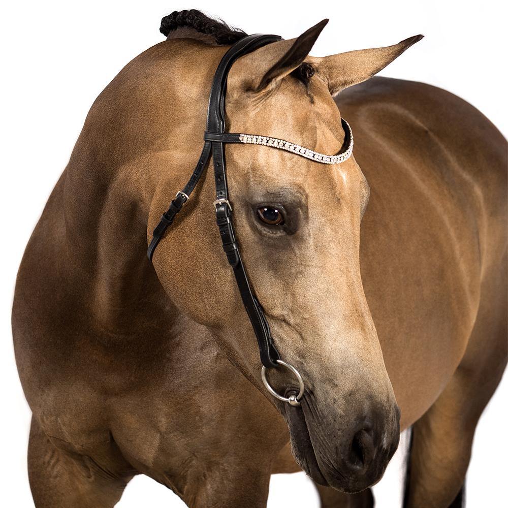 BRI012 Black Gel Nosebandless Bridle